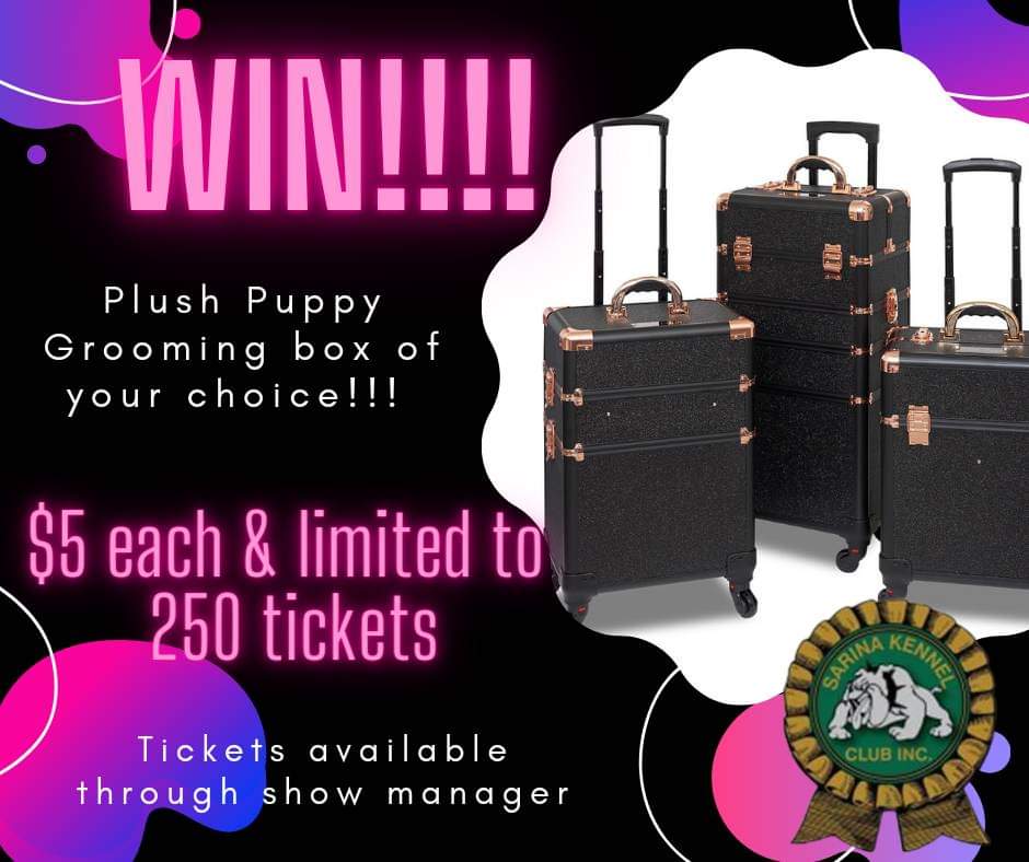 Show Manager - Plush Puppy Grooming Box - Your choice - Tue 31 Jan 2023 ...