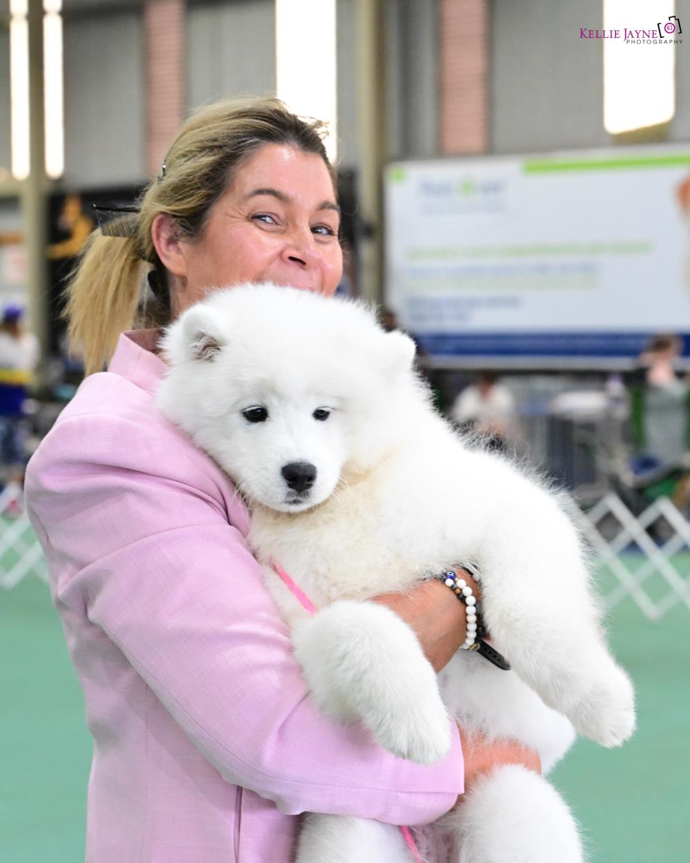 Dogs Victoria Easter Festival Of Shows (AM Show) - Show Manager Results